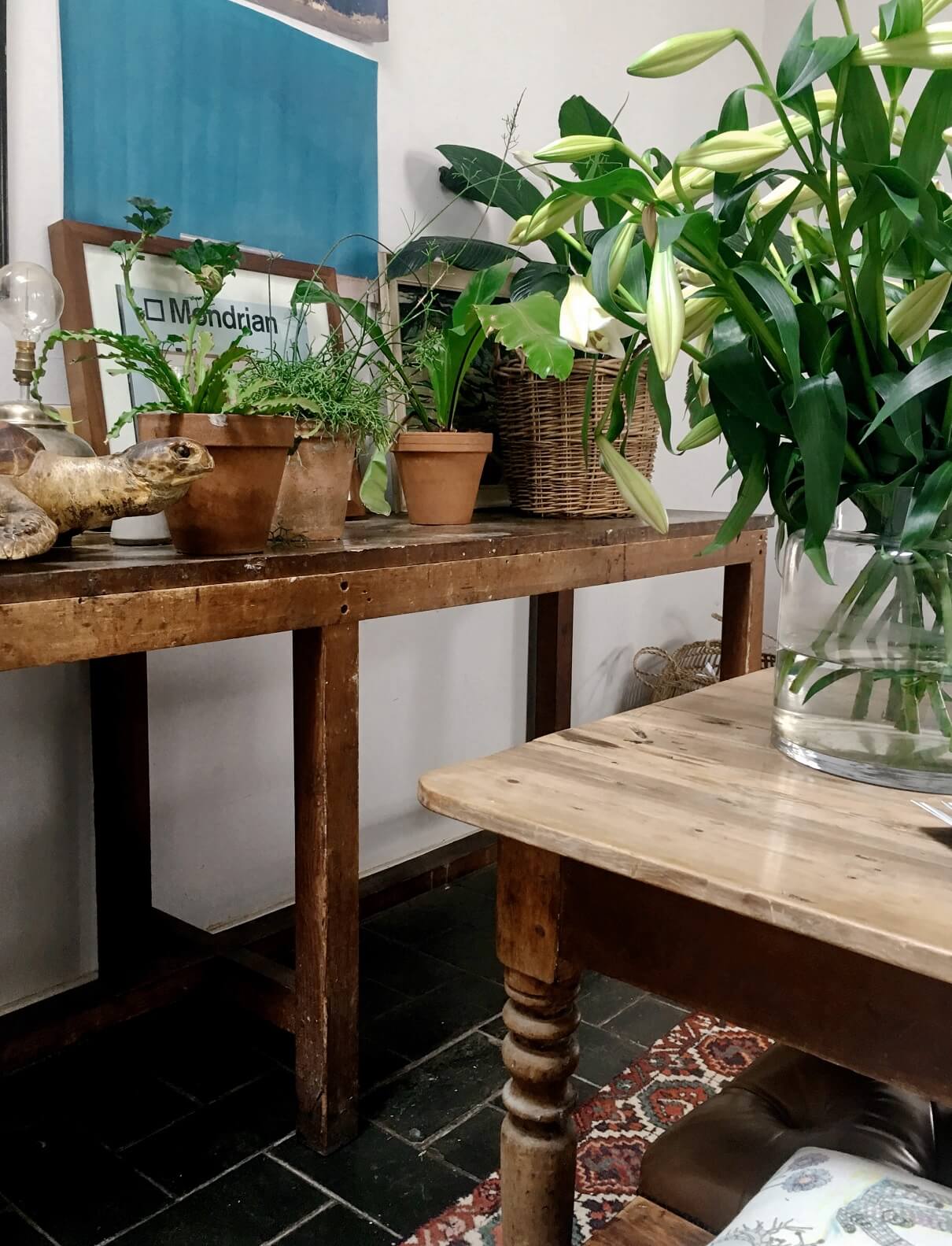 A peek inside... Bronwyn Cane's Eclectic Westdene Home - a zesty life